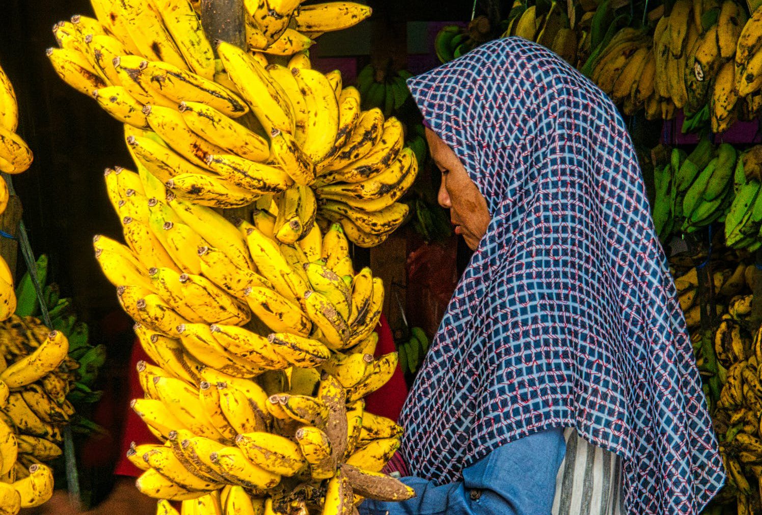 Indonesian - Guidelines International Ministries