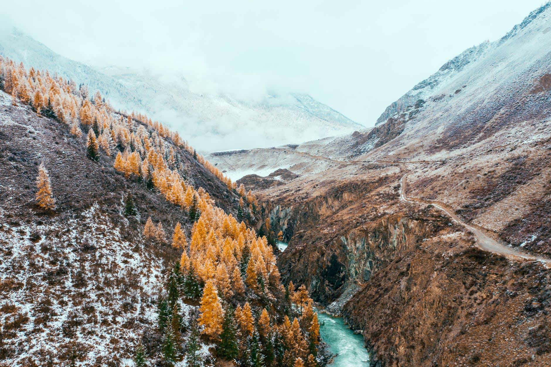 Russian - Guidelines International